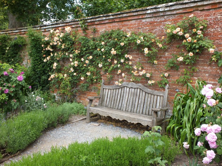 Rose Heaven – The New Season at Petersham Nurseries – The Teddington ...
