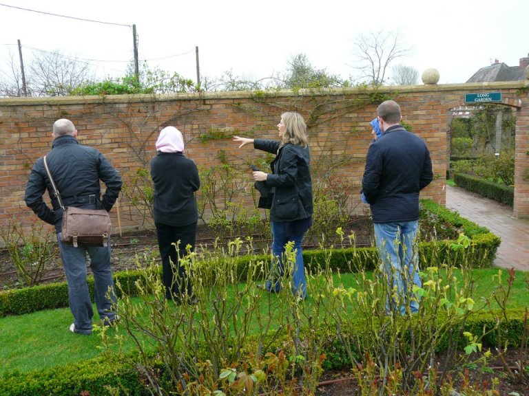 David Austin at Albrighton – some roses I pruned earlier! (A March ...