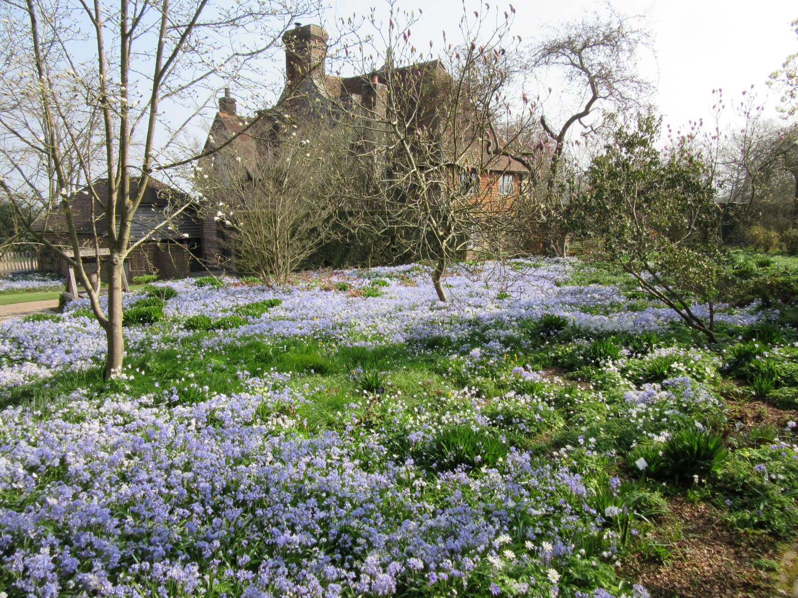 Spring begins to fizz at Sissinghurst Castle – and the whole show will ...