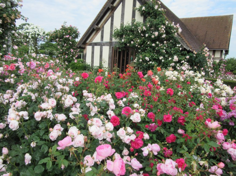 A refresher first – and later this week, a return to the remarkable ...