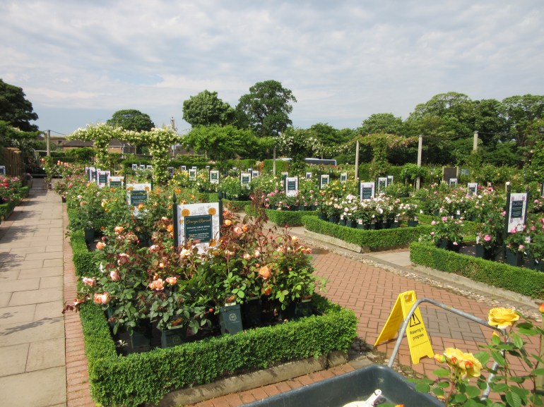 A refresher first – and later this week, a return to the remarkable ...