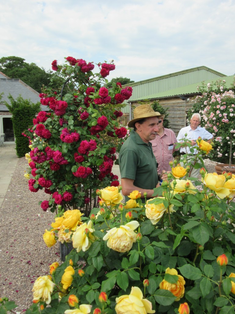 A refresher first – and later this week, a return to the remarkable ...