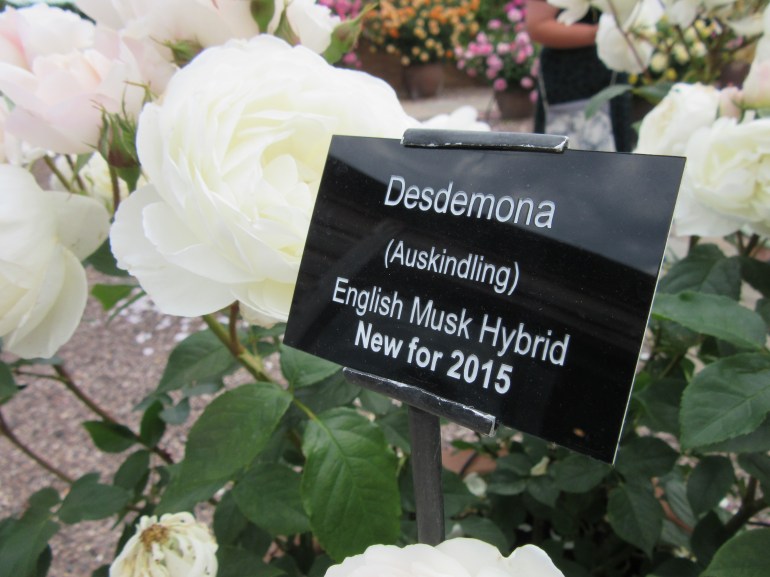 A refresher first – and later this week, a return to the remarkable ...