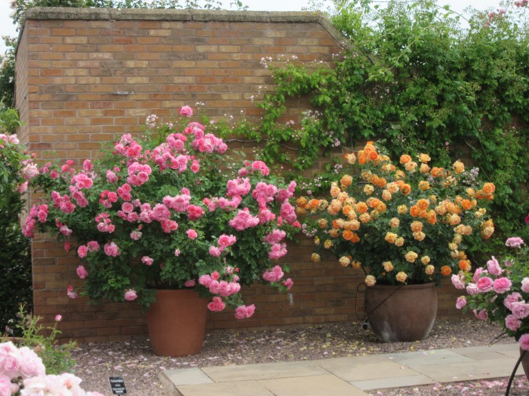 A refresher first – and later this week, a return to the remarkable ...