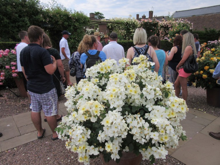 A refresher first – and later this week, a return to the remarkable ...