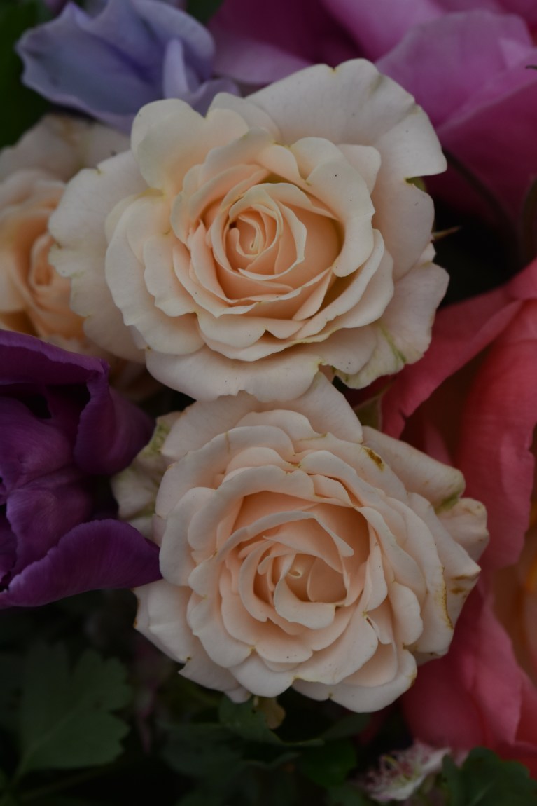 Petersham Nurseries – Glorious flowers for a wedding and other beauties ...