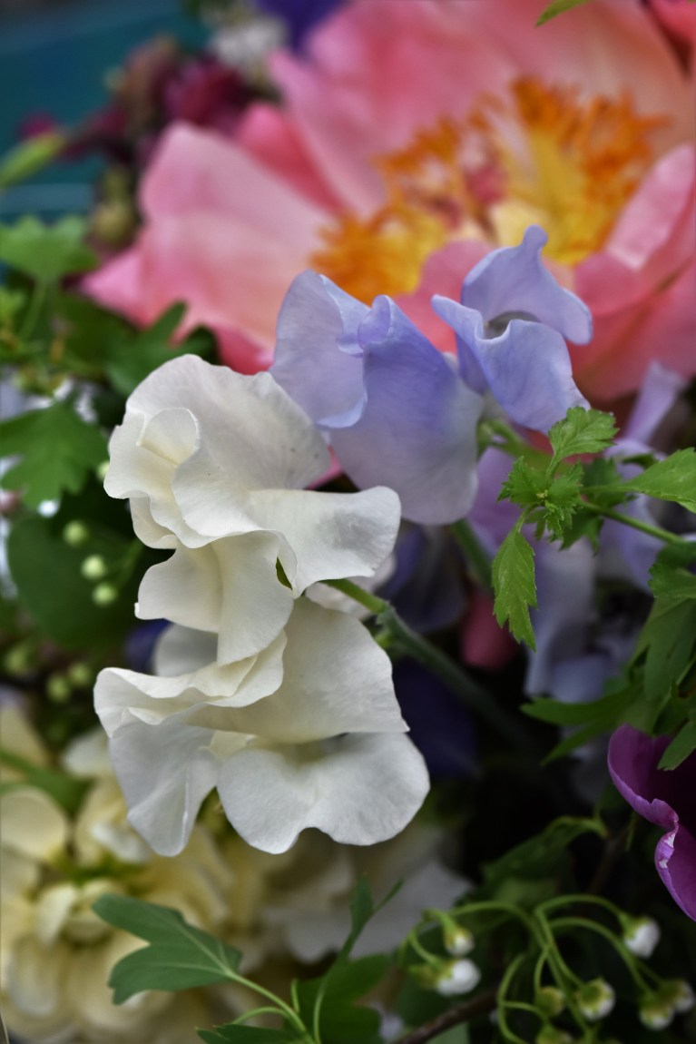 Petersham Nurseries – Glorious flowers for a wedding and other beauties ...