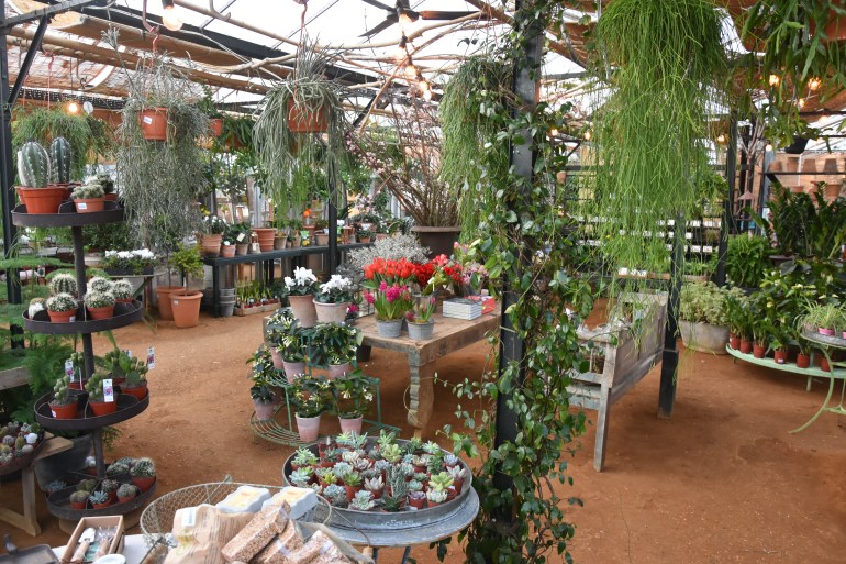 Getting Horticultural for the month ahead … and a little tour of ...