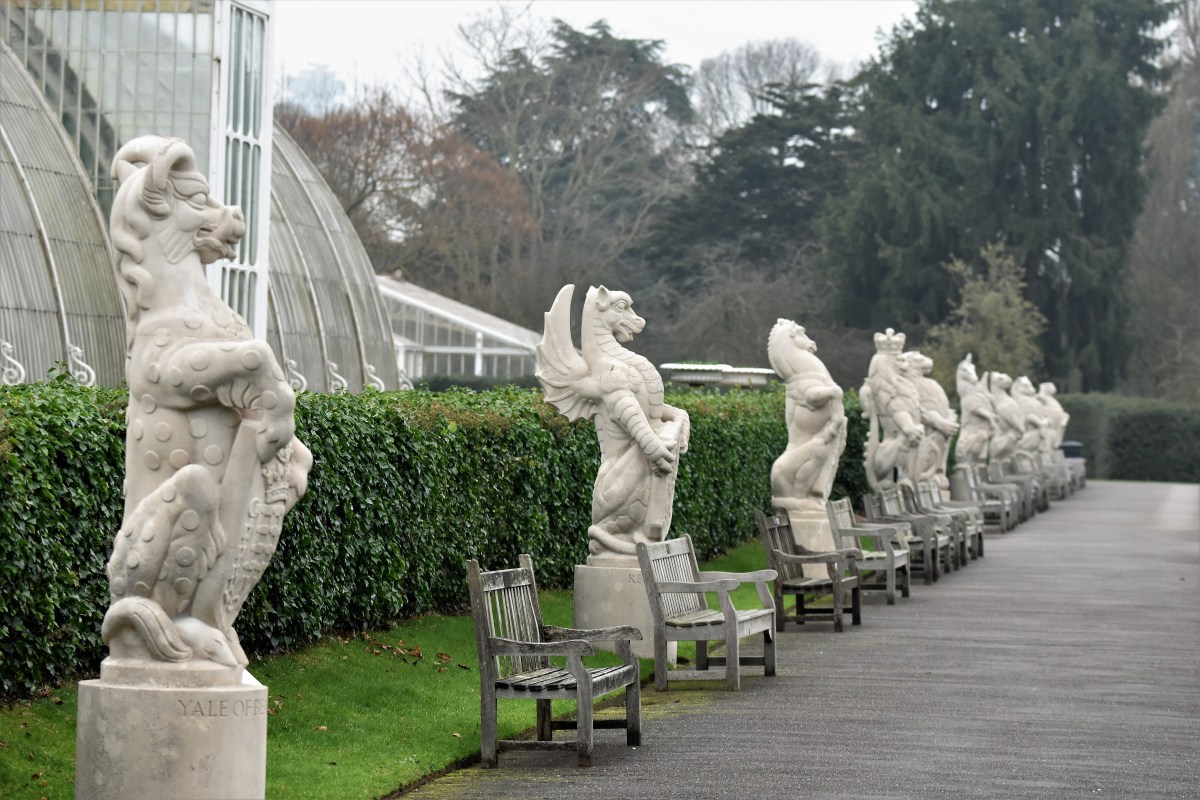 A little Kew Miscellany – everything else from a chill Tuesday in ...