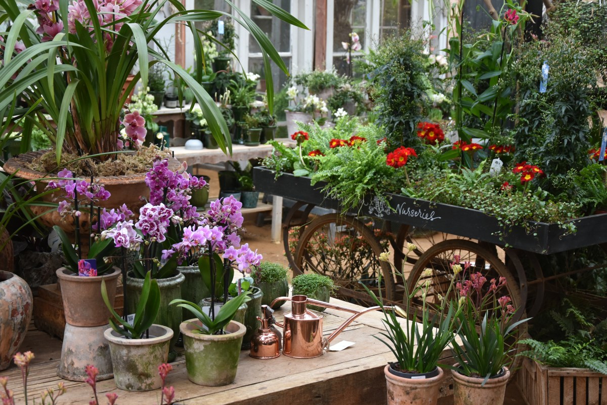 A Garden Shop …. (with updated gallery) – The Teddington Gardener