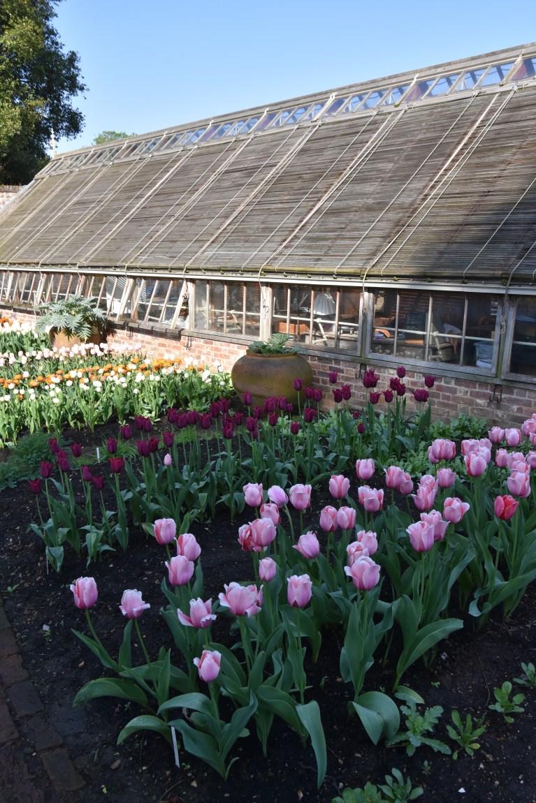 Petersham House Gardens National Garden Scheme Open Day – The ...