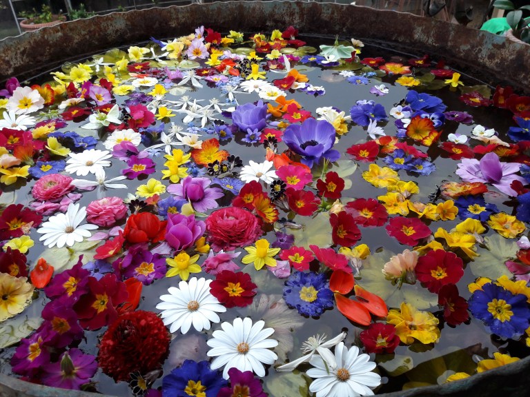 A Spring Soup … spring cutting garden flowers, floating – The ...