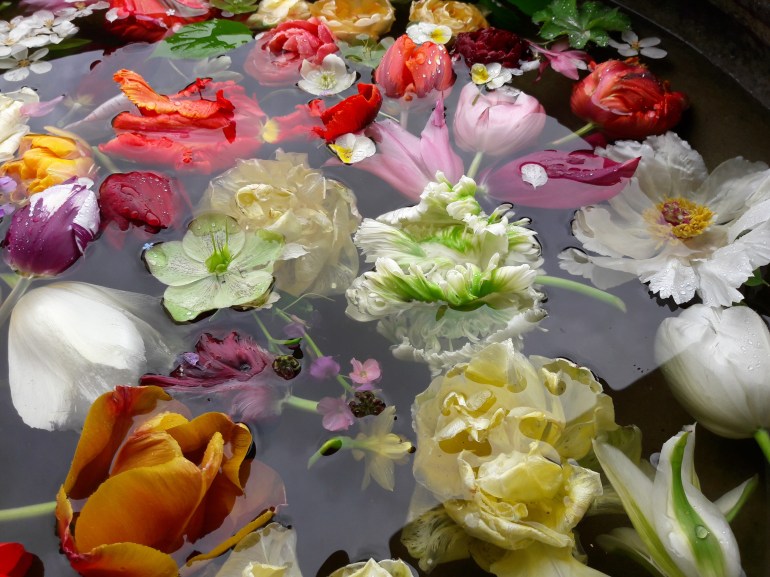 A Spring Soup … spring cutting garden flowers, floating – The ...