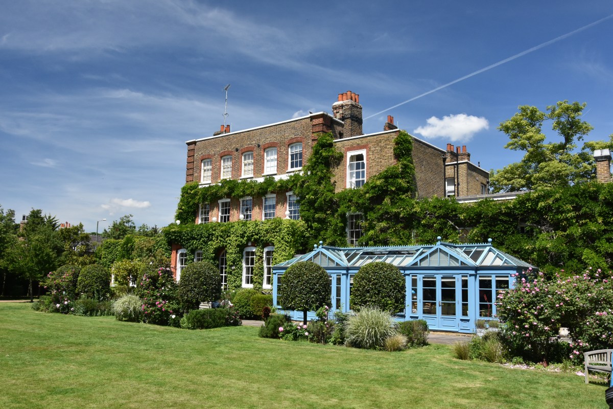 Petersham Open Garden 2018 – all the pictures! – The Teddington Gardener