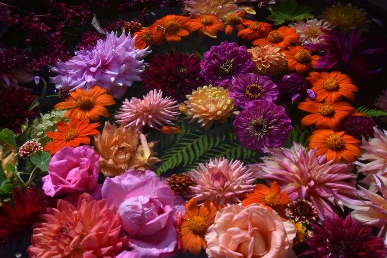 Floating Flowers …. almost igniting this huge bronze bowl at Petersham ...